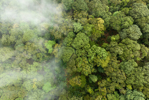 Methane Analyzers | Servomex - Servomex